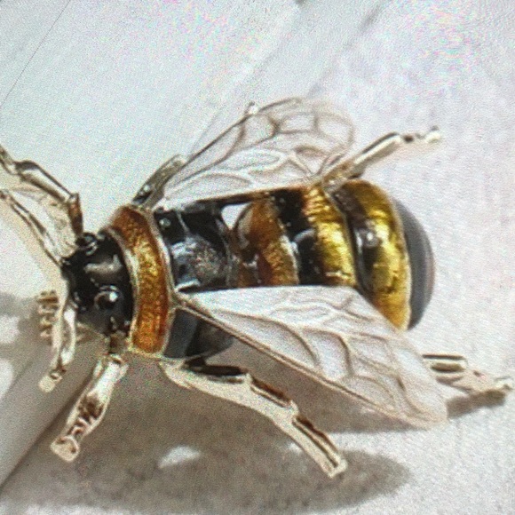 Jewelry | Brooch Bumblebee Insect Pin | Poshmark
